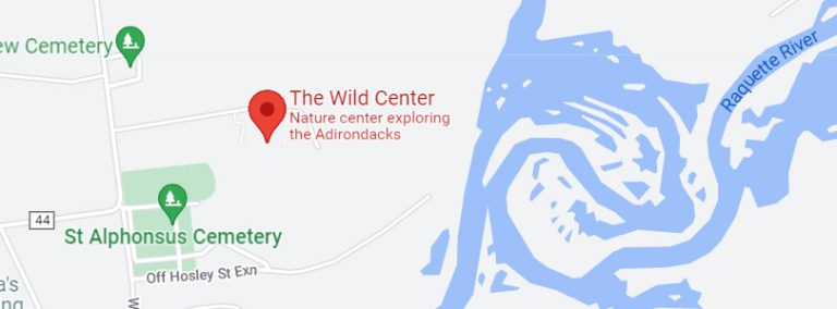 The Wild Center