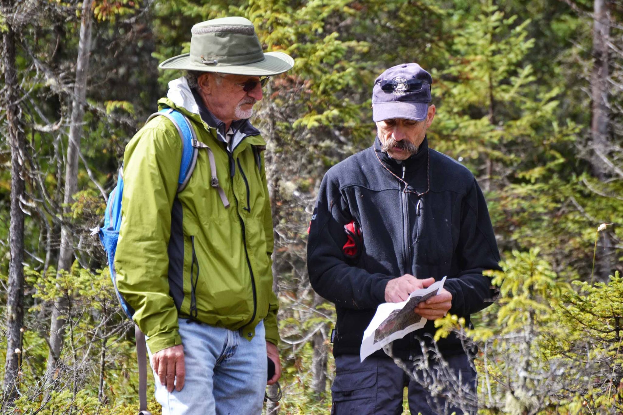 Learn 10 Trees: Identifying Adirondack Trees with Botanist Dan Spada ...