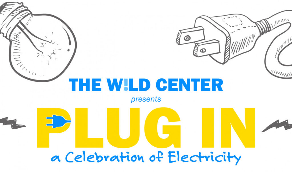 Plug In: A Celebration of Electricity - The Wild Center