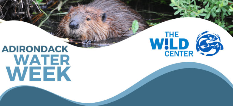 Adirondack Water Week - The Wild Center
