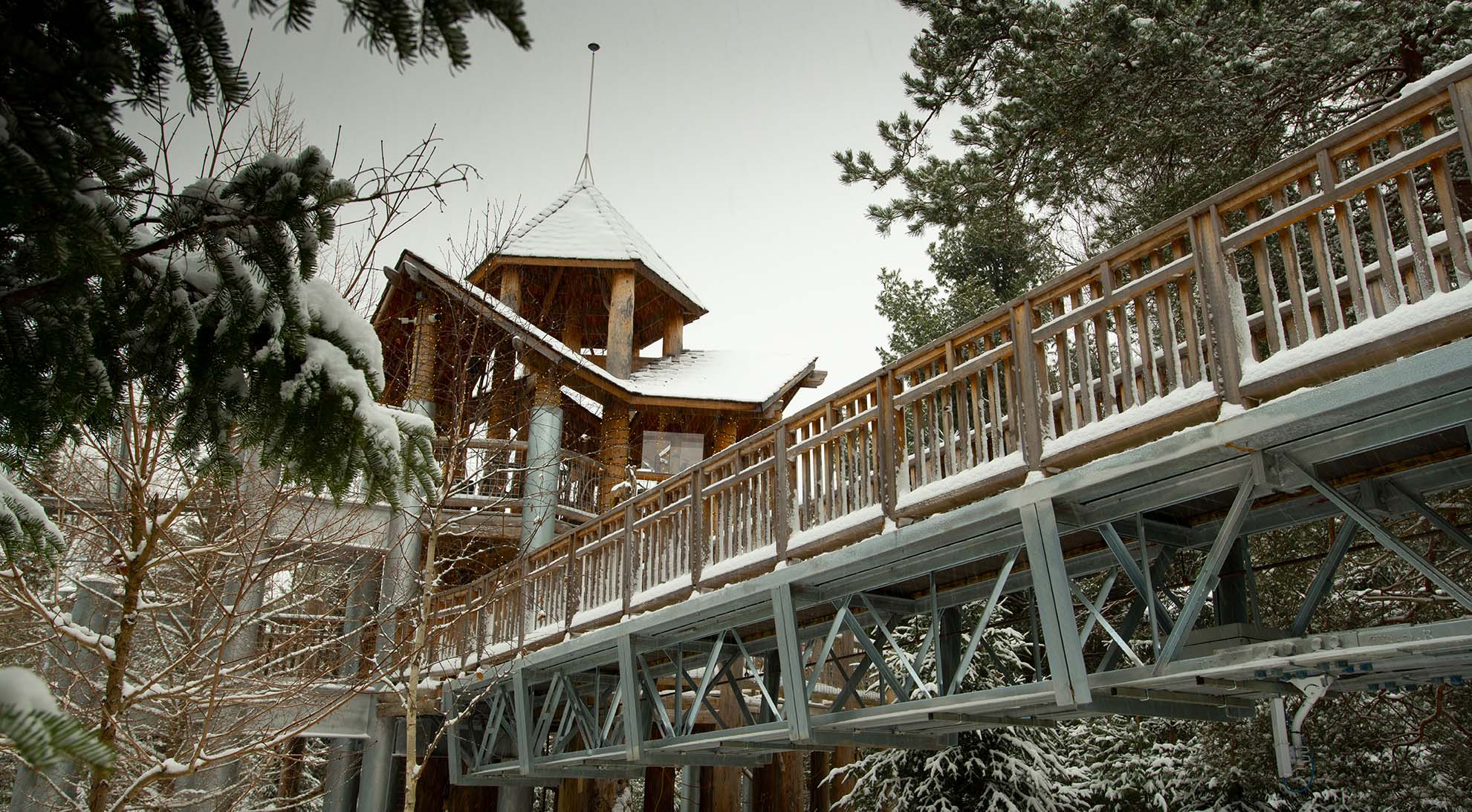 Live Cams - The Wild Center