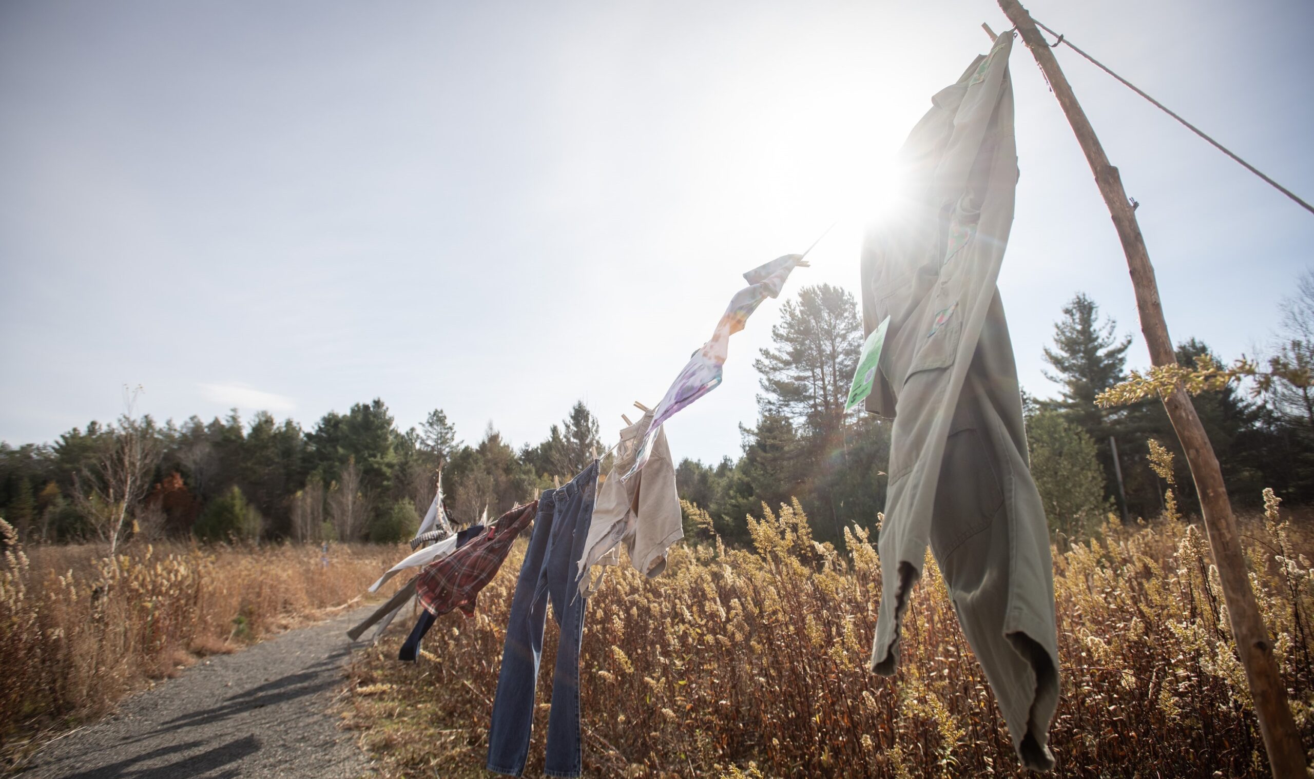 The Wild Center’s Clothesline Installation Travels to Whallonsburg ...