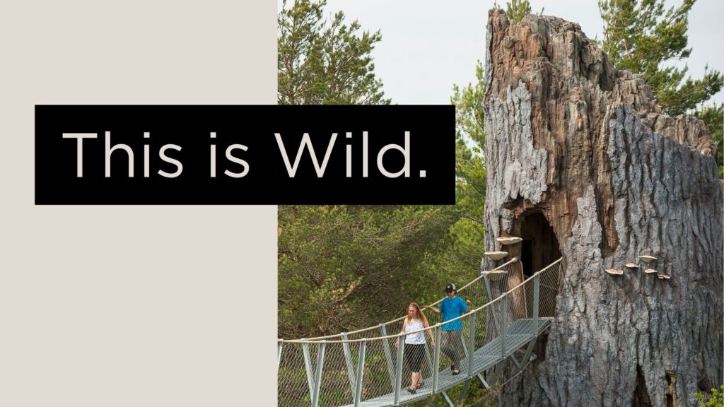 Visit The Wild Center