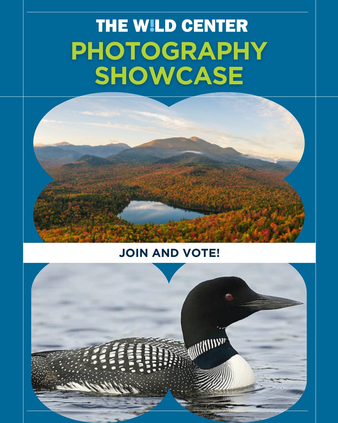 Photography Showcase - The Wild Center