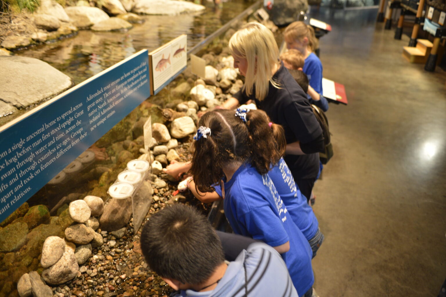 School Programs - The Wild Center